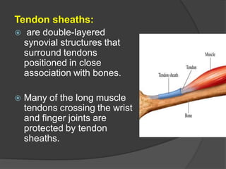 Sem biomech-6 physiotherapy bachelor year.pdf