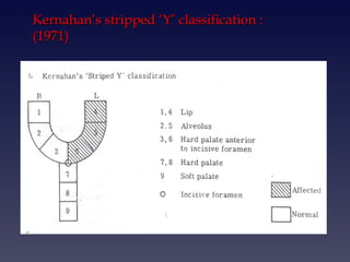 cleft lip and palate part 1 | PPT