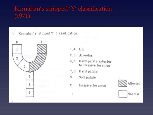 cleft lip and palate part 1