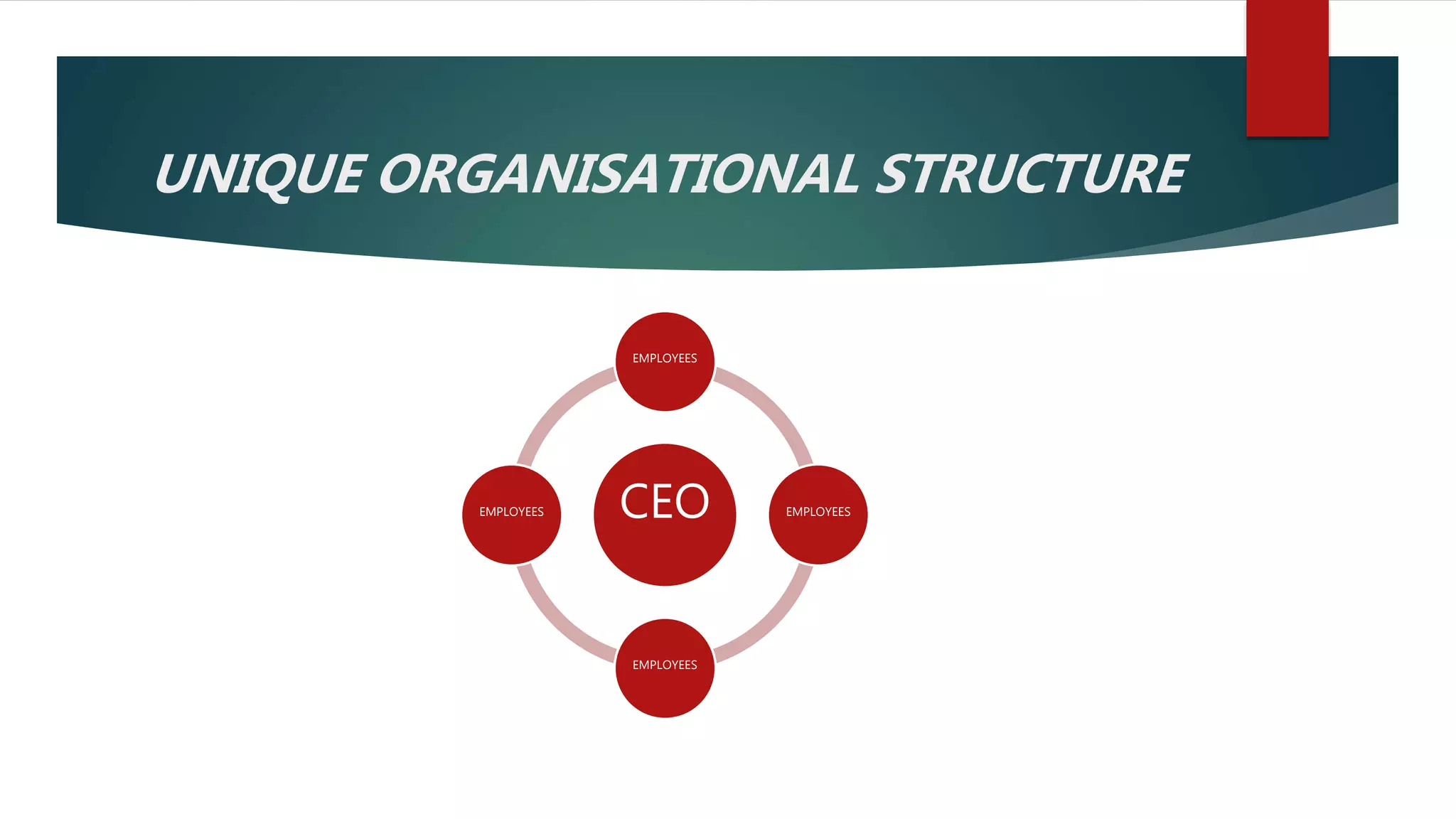 UNIQUE ORGANISATION STRUCTURE AT SEMCO | PPTX