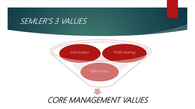 UNIQUE ORGANISATION STRUCTURE AT SEMCO | PPTX | Business | Business and ...