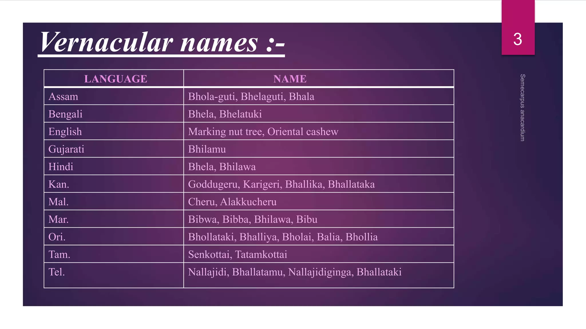Semecarpus anacardium (bhilawa) | PPTX