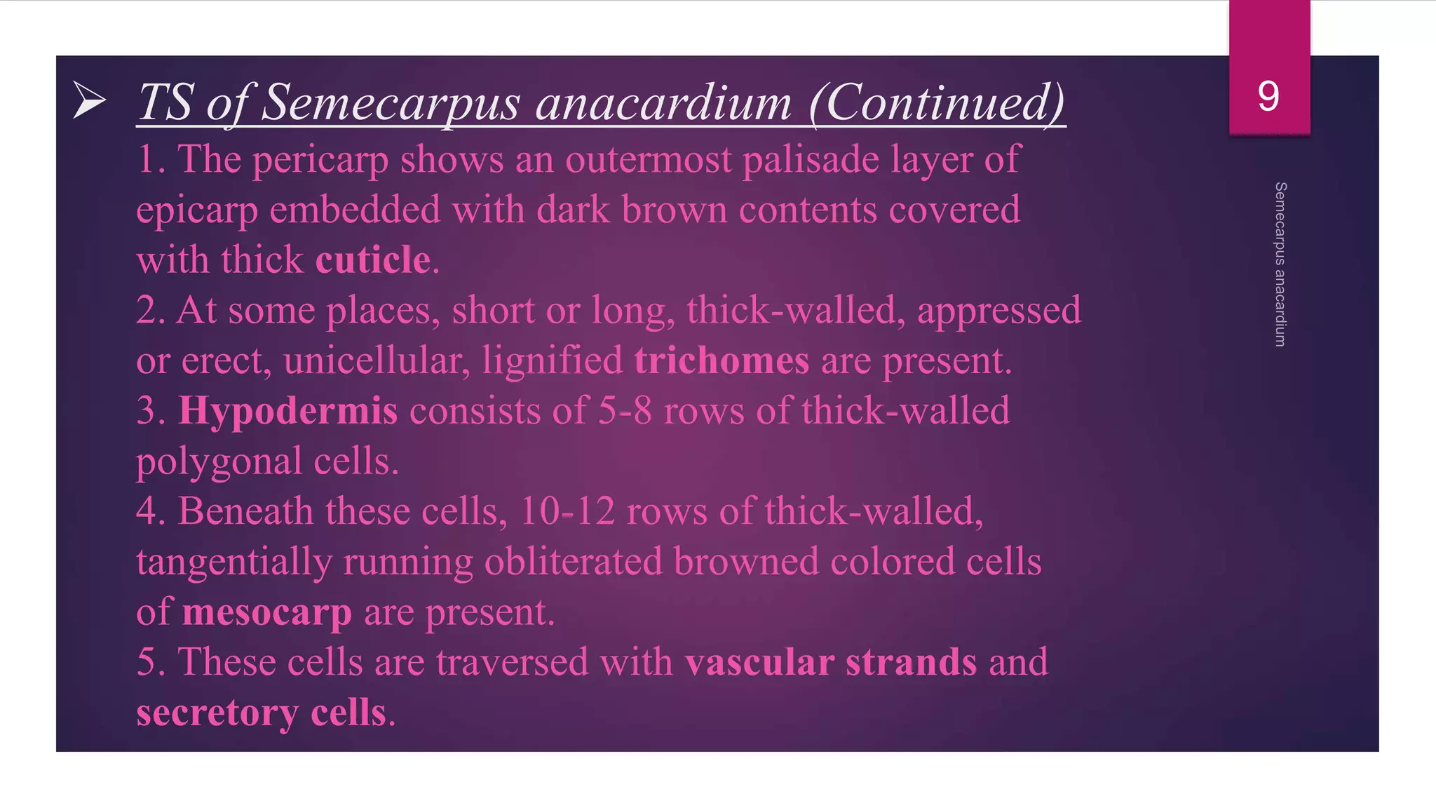 Semecarpus anacardium (bhilawa) | PPTX