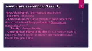 Semecarpus anacardium (bhilawa) | PPTX
