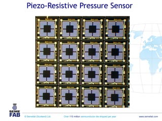 Semefab Presentation | PPT