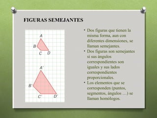Semejanza de triangulos | PPT