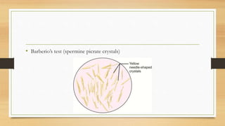 Semen serology | PPTX