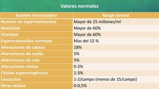 SEMEN laboratorio de analisis clinico.pptx
