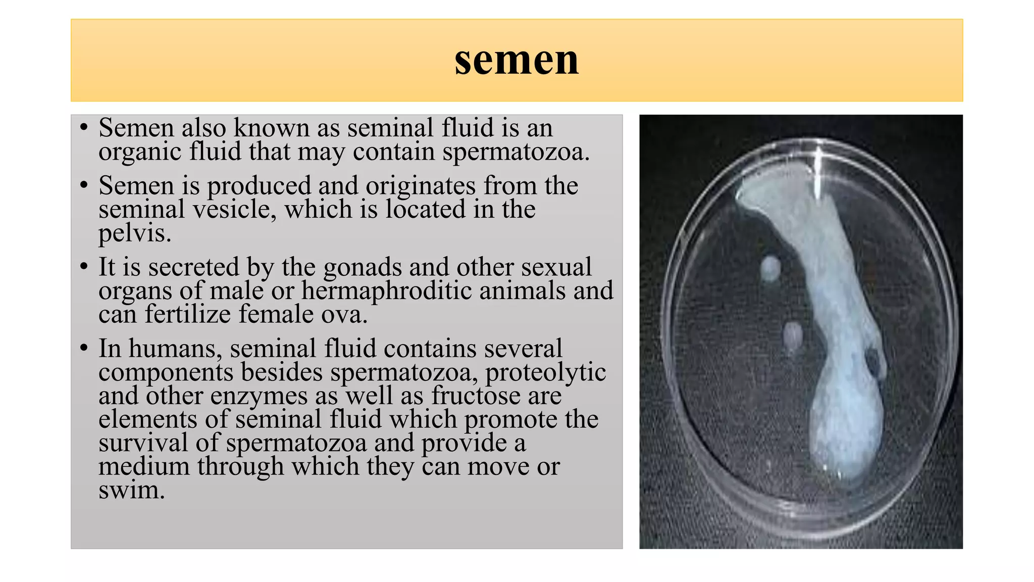 Semen analysis | PPTX | Infertility | Reproductive Health