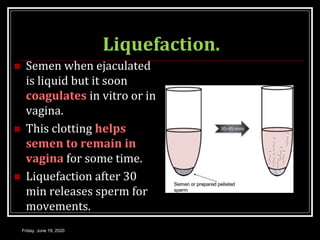 Semen analysis | PPTX