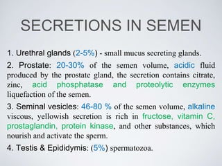 Semen Analysis.pptx