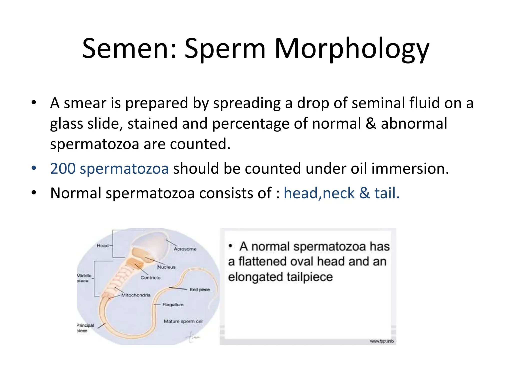 semen analysis.ppt