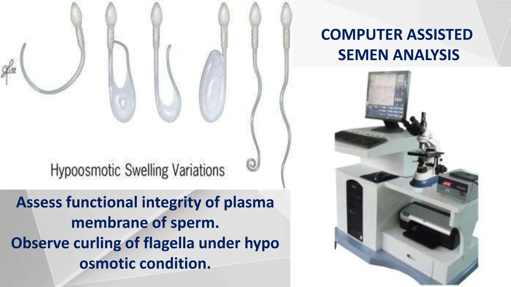 SEMEN ANALYSIS.pptx