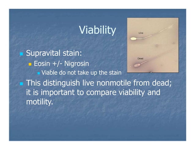 Semen Analysis Lab Ppt [compatibility Mode] Pptx