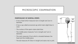 SEMEN ANALYSIS, physical chemical and microscopy | PPTX | Infertility ...