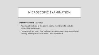 SEMEN ANALYSIS, physical chemical and microscopy | PPTX