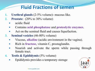 Semen analysis dr kamlesh | PPT