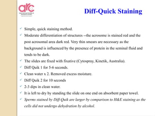 semenanalysis BY ARC FERTILITY CENTREpptx | PPTX