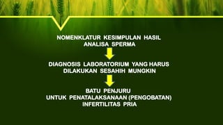 Prosedur Analisis Sperma Berdasarkan WHO | PPTX