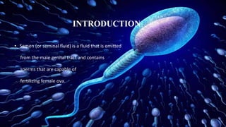 Semen analysis or seminal fluid analysis | PPTX