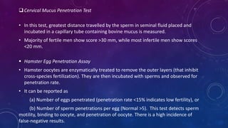 Semen analysis or seminal fluid analysis | PPTX