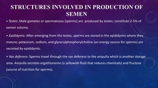 Semen analysis or seminal fluid analysis | PPTX
