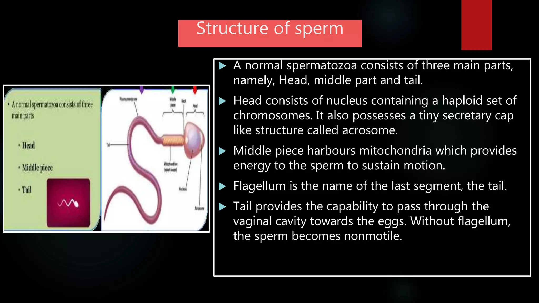 Semen Analysis Methods -Forensic Biology | PPTX