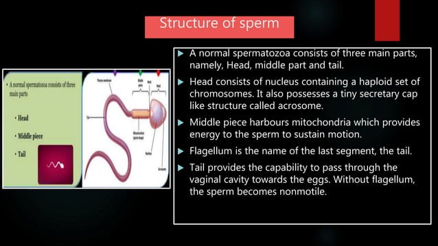 Semen Analysis Methods -Forensic Biology | PPTX | Reproductive Health ...