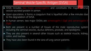 Semen Analysis Methods -Forensic Biology | PPTX