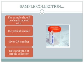 Semen analysis | PPTX