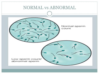 Semen analysis | PPTX