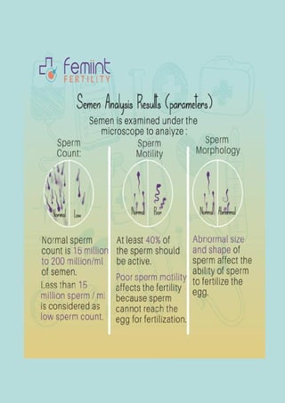 Semen Analysis | PDF