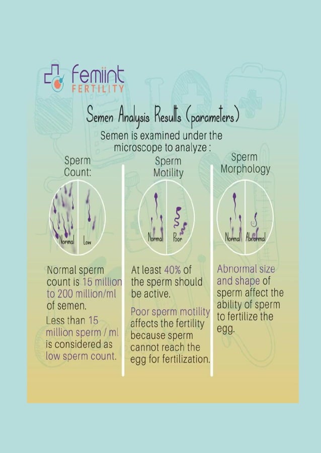 Semen Analysis | PDF