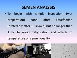 SEMEN ANALYSIS & W.H.O CRITERIA 2010 | PDF