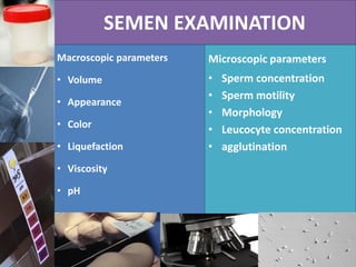 SEMEN ANALYSIS & W.H.O CRITERIA 2010 | PDF