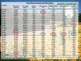 GENETIC VARIABILITY AS BACKGROUND FOR THE PROSPECTS OF MAIZE ...