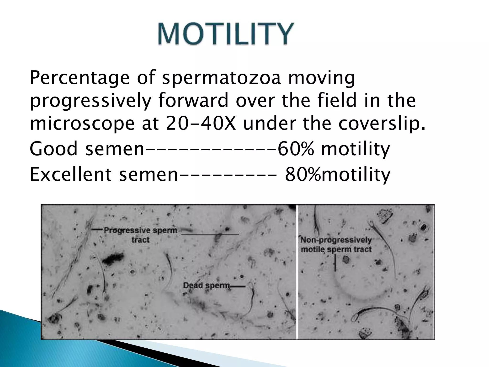 Semen Evaluation | PPTX
