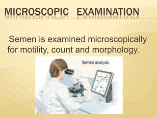 Semen examination | PPTX
