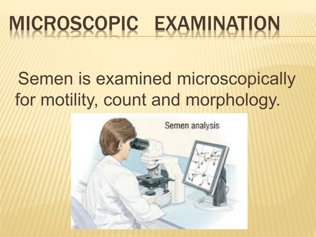 Semen examination | PPT
