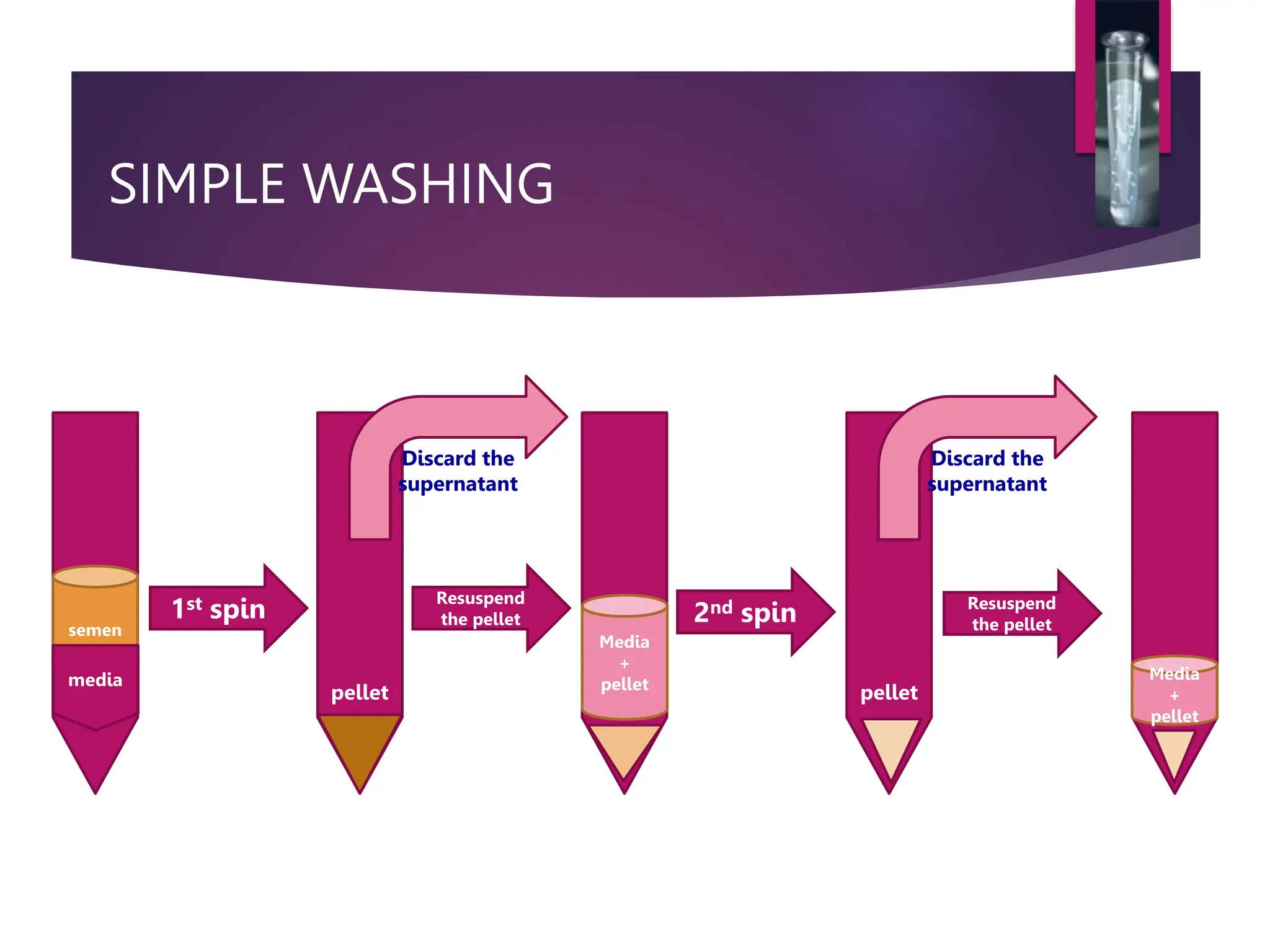 SEMEN PREPARATION TECHNIQUES FOR IVF IN EMBRYOLOGY | PPT