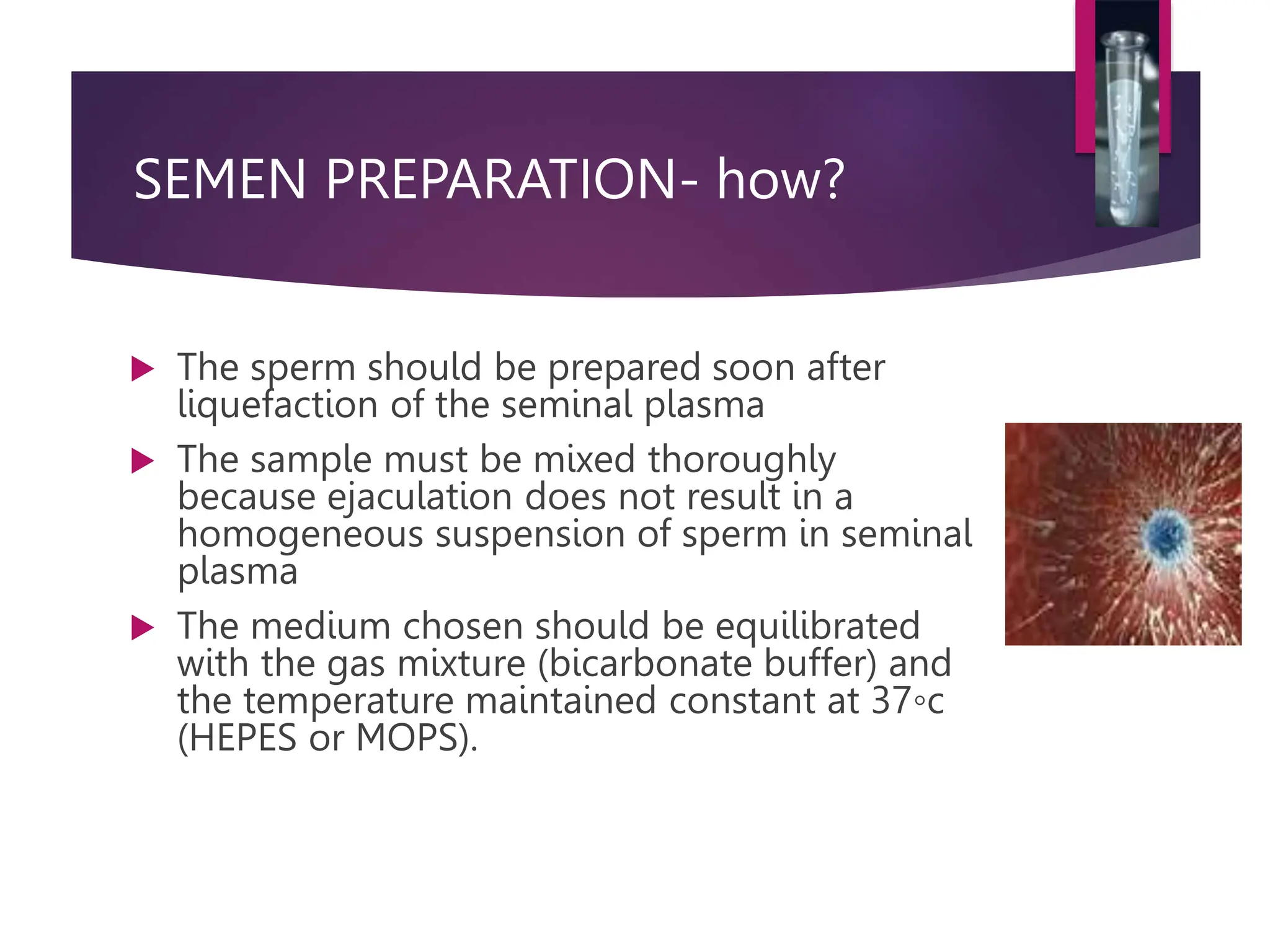 SEMEN PREPARATION TECHNIQUES FOR IVF IN EMBRYOLOGY | PPT