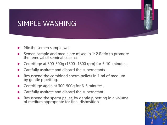 SEMEN PREPARATION TECHNIQUES FOR IVF IN EMBRYOLOGY | PPT