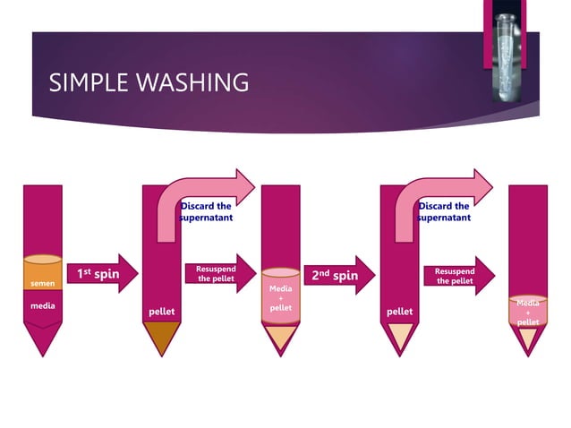 SEMEN PREPARATION TECHNIQUES FOR IVF IN EMBRYOLOGY | PPT