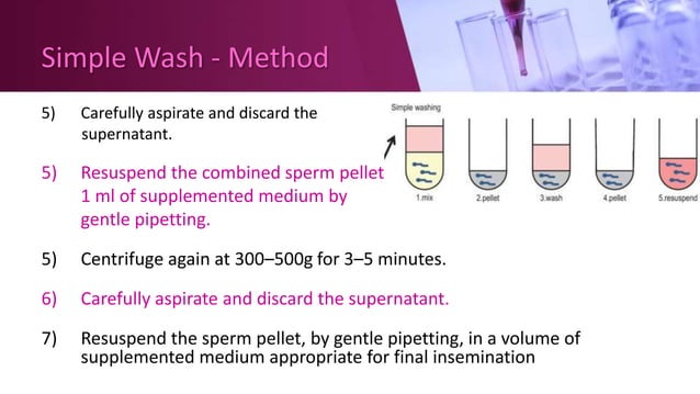 Semen Preparation Methods - Principles & Techniques | PPTX