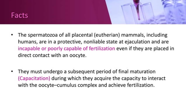 Semen Preparation Methods - Principles & Techniques | PPTX