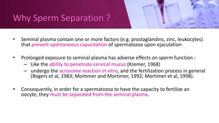Semen Preparation Methods - Principles & Techniques | PPTX