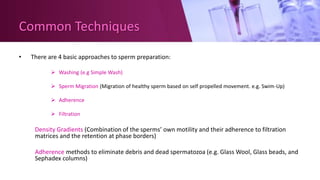 Semen Preparation Methods - Principles & Techniques | PPTX