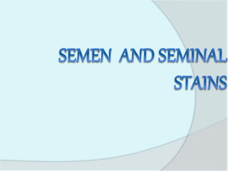 SEMEN & SEMINAL STAINS.pptx