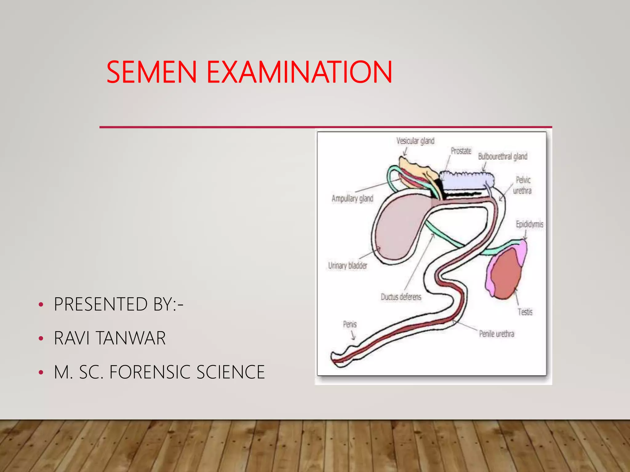 Semen Analysis | PPTX