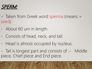 Semen Analysis | PPTX